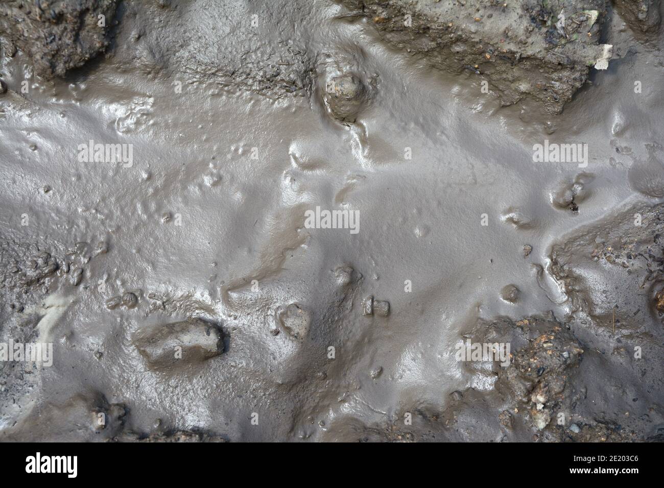Mud texture or wet gray soil as natural background Stock Photo - Alamy