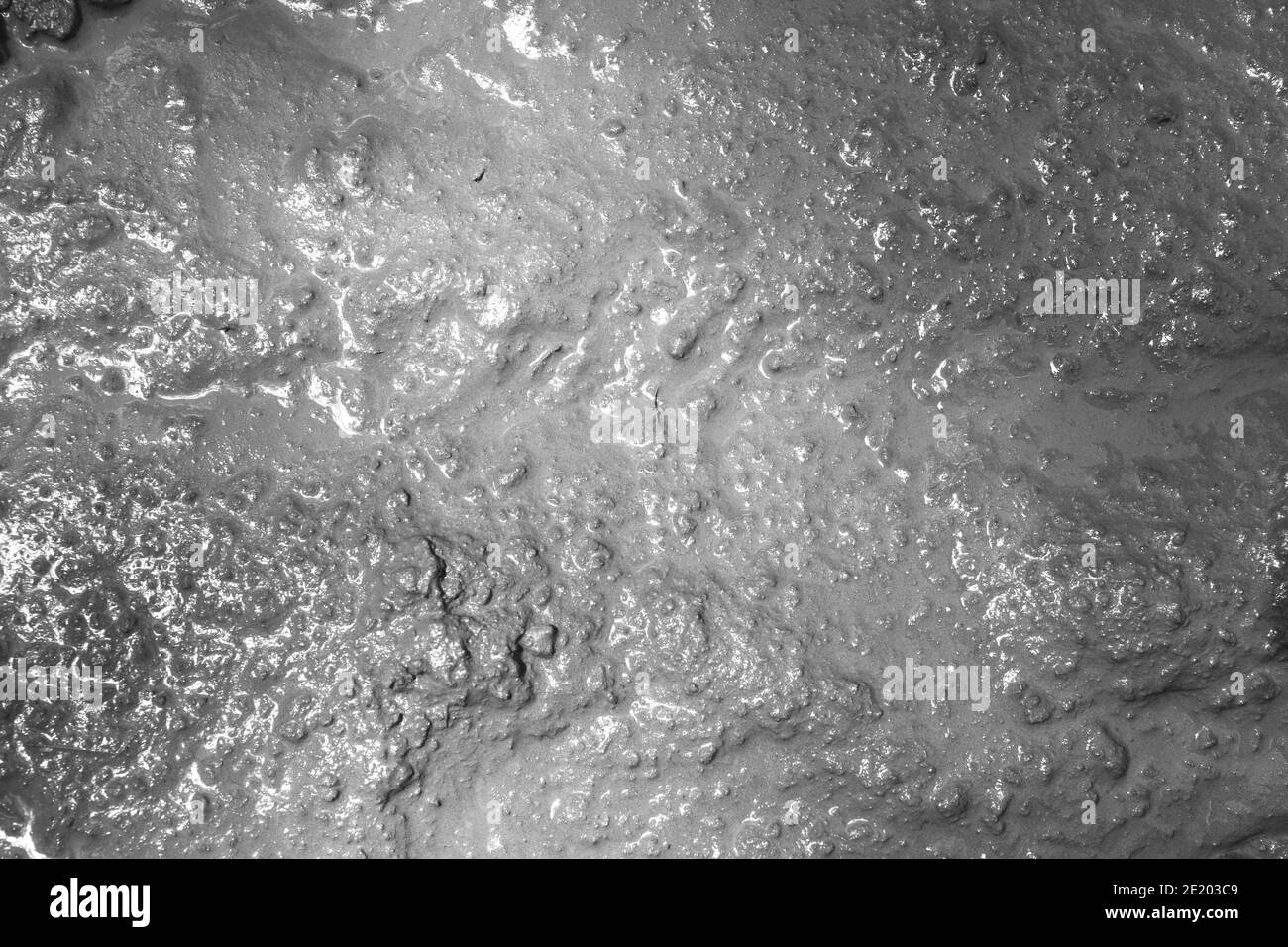 Mud texture or wet gray soil as natural background Stock Photo - Alamy