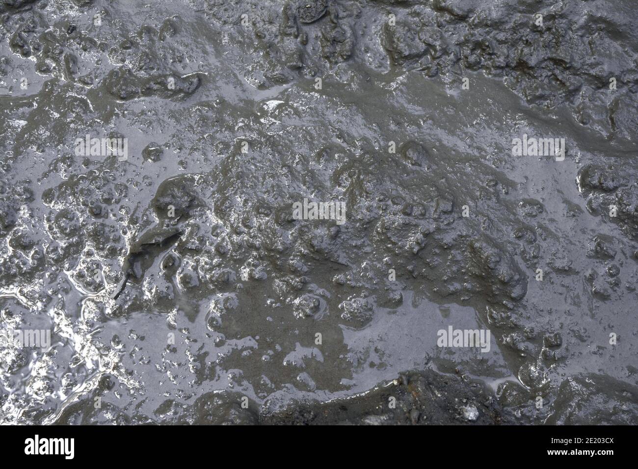 Mud texture or wet gray soil as natural background Stock Photo - Alamy