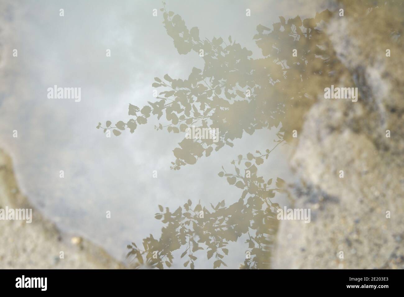Mud texture or wet gray soil as natural background Stock Photo - Alamy