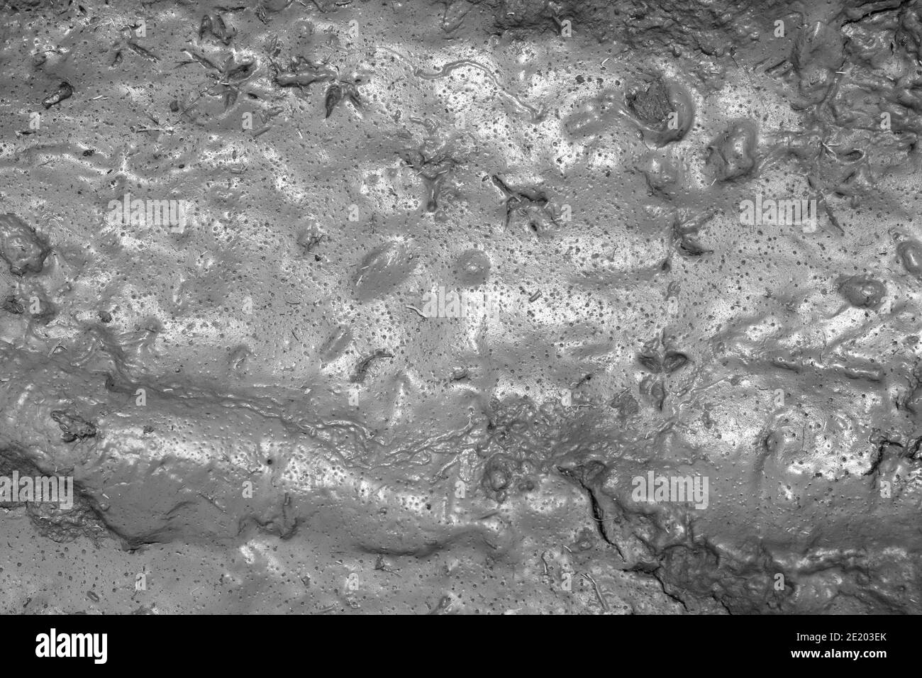 Atv mud Black and White Stock Photos & Images - Alamy