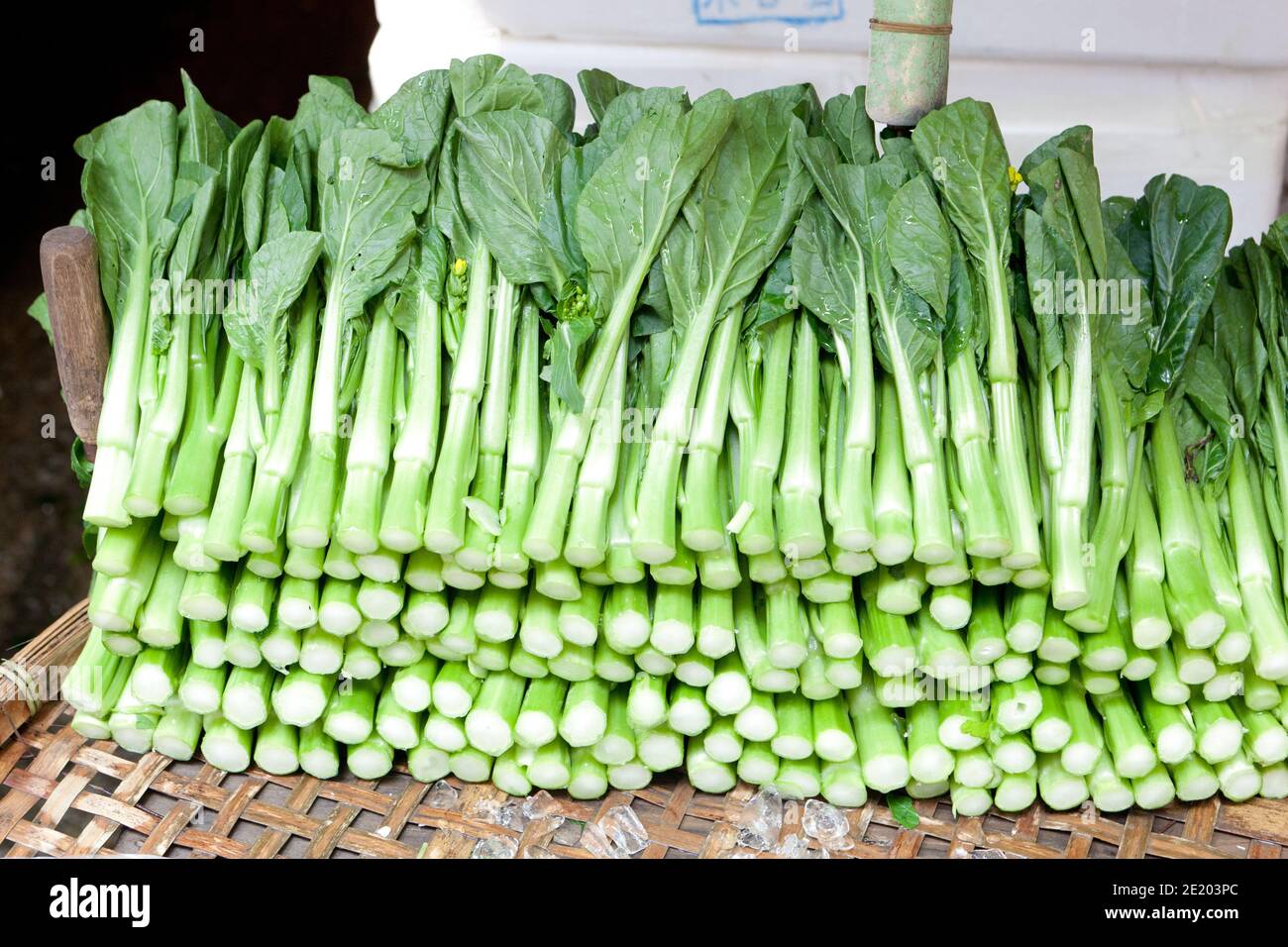 Yu Choy Sum Stock Photo - Alamy
