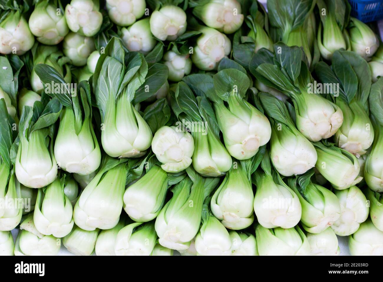 Causeway bay stand hi-res stock photography and images - Alamy