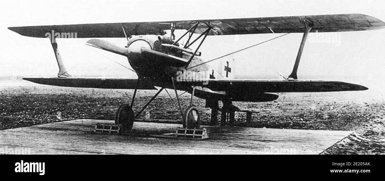 Albatros d hi-res stock photography and images - Alamy