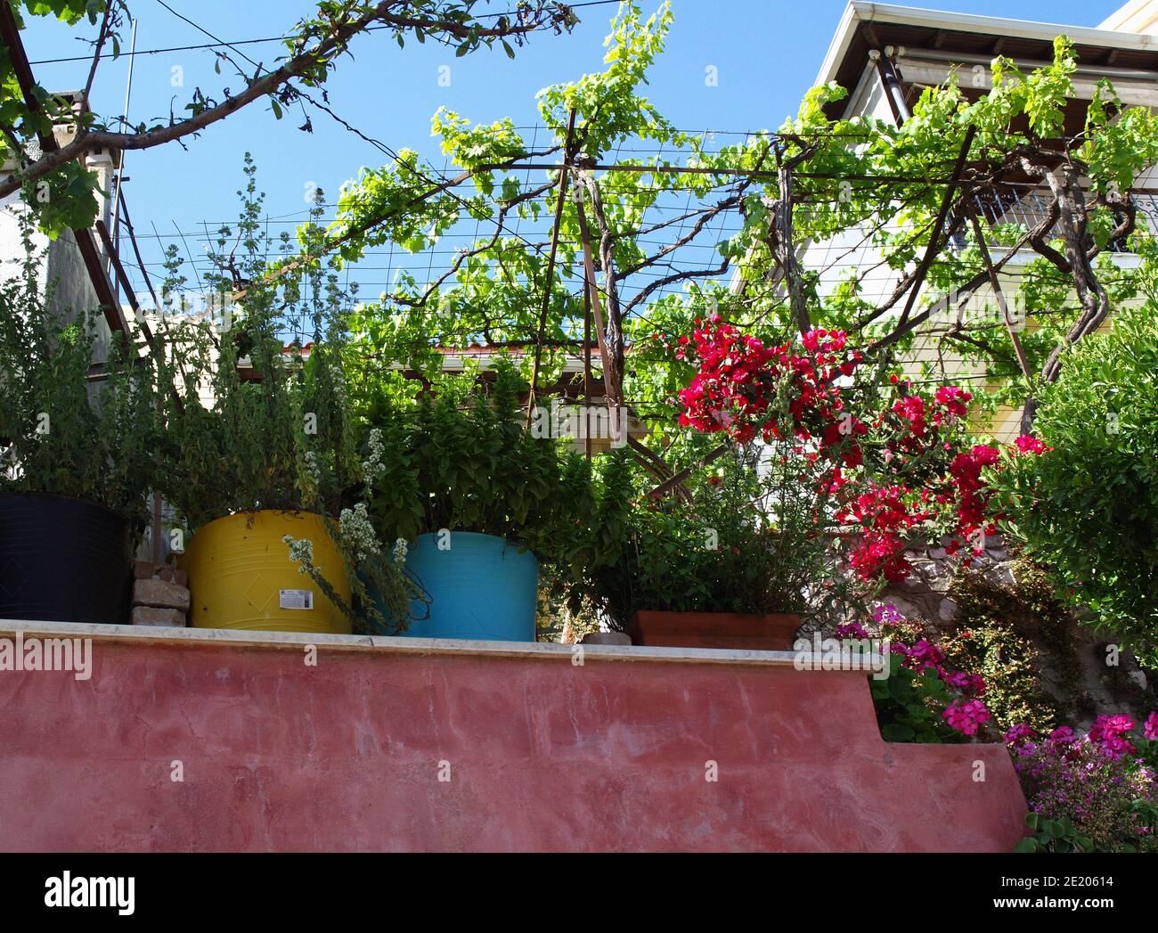 Corfu greece herbs hi-res stock photography and images - Alamy