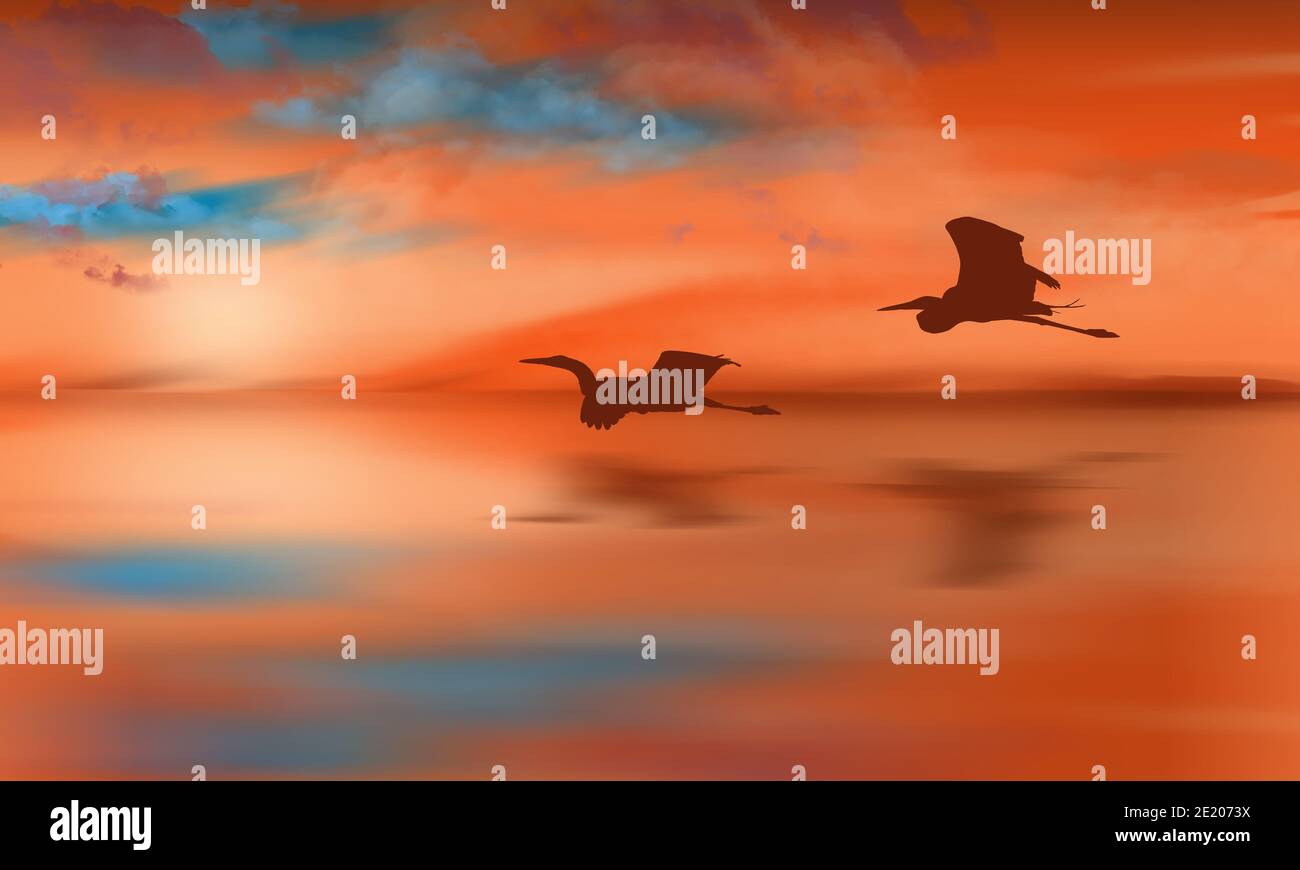 Flying low over calm river hi-res stock photography and images - Alamy