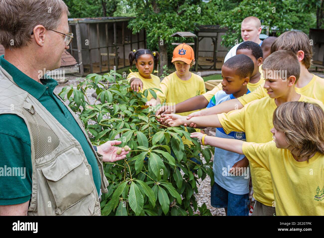 Boy Naturalists Blog