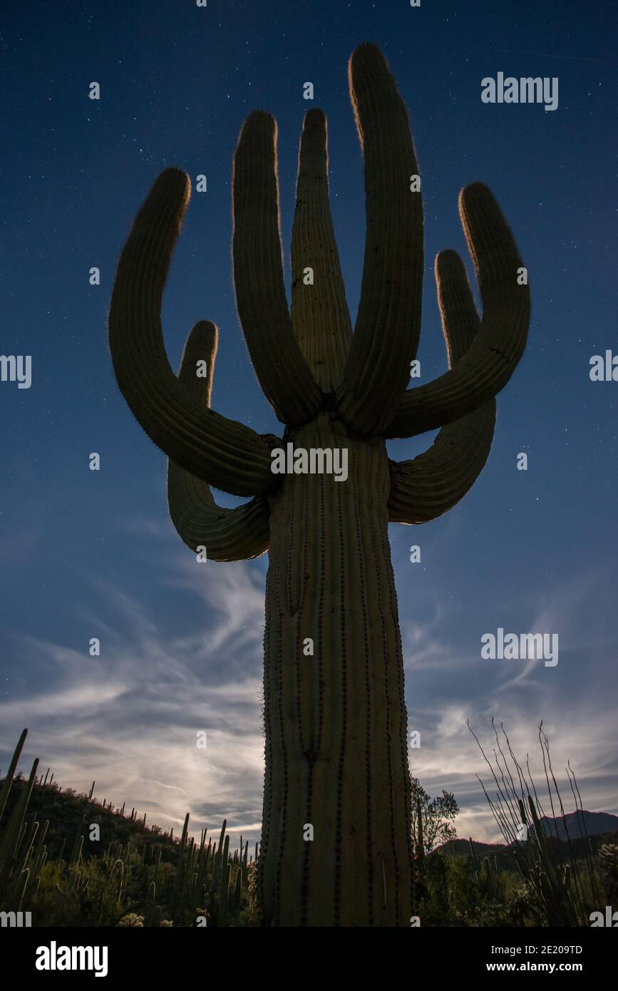 Desert illuminated by moon hi-res stock photography and images - Alamy