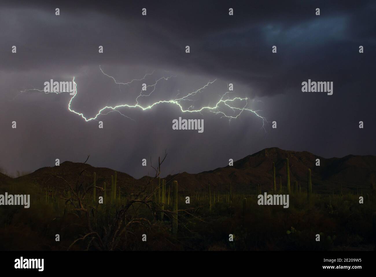 Monsoon lightning over the sonoran desert Stock Photo - Alamy