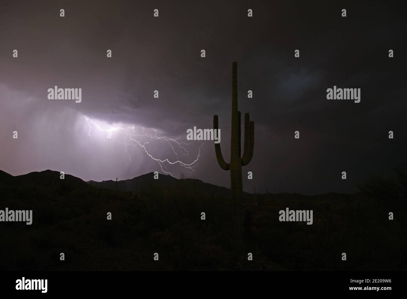 Monsoon lightning over the sonoran desert Stock Photo - Alamy
