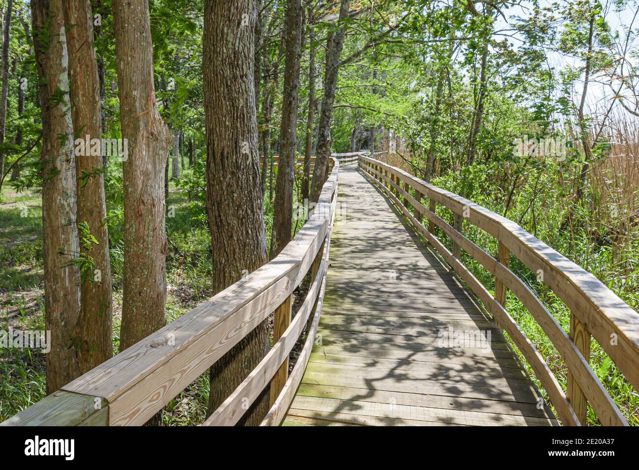 Alabama Historic Blakeley State Park Tensaw River Nature Boardwalk ...