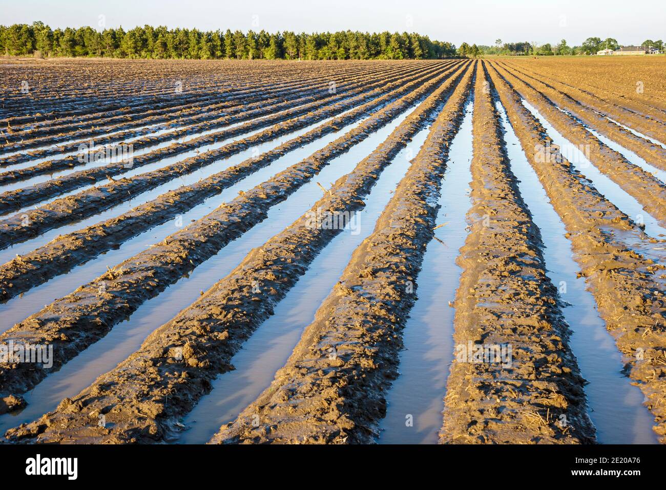 Furrows High Resolution Stock Photography and Images - Alamy
