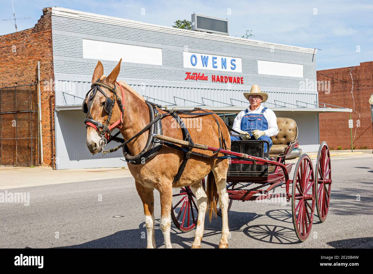 Mule driver hi-res stock photography and images - Alamy