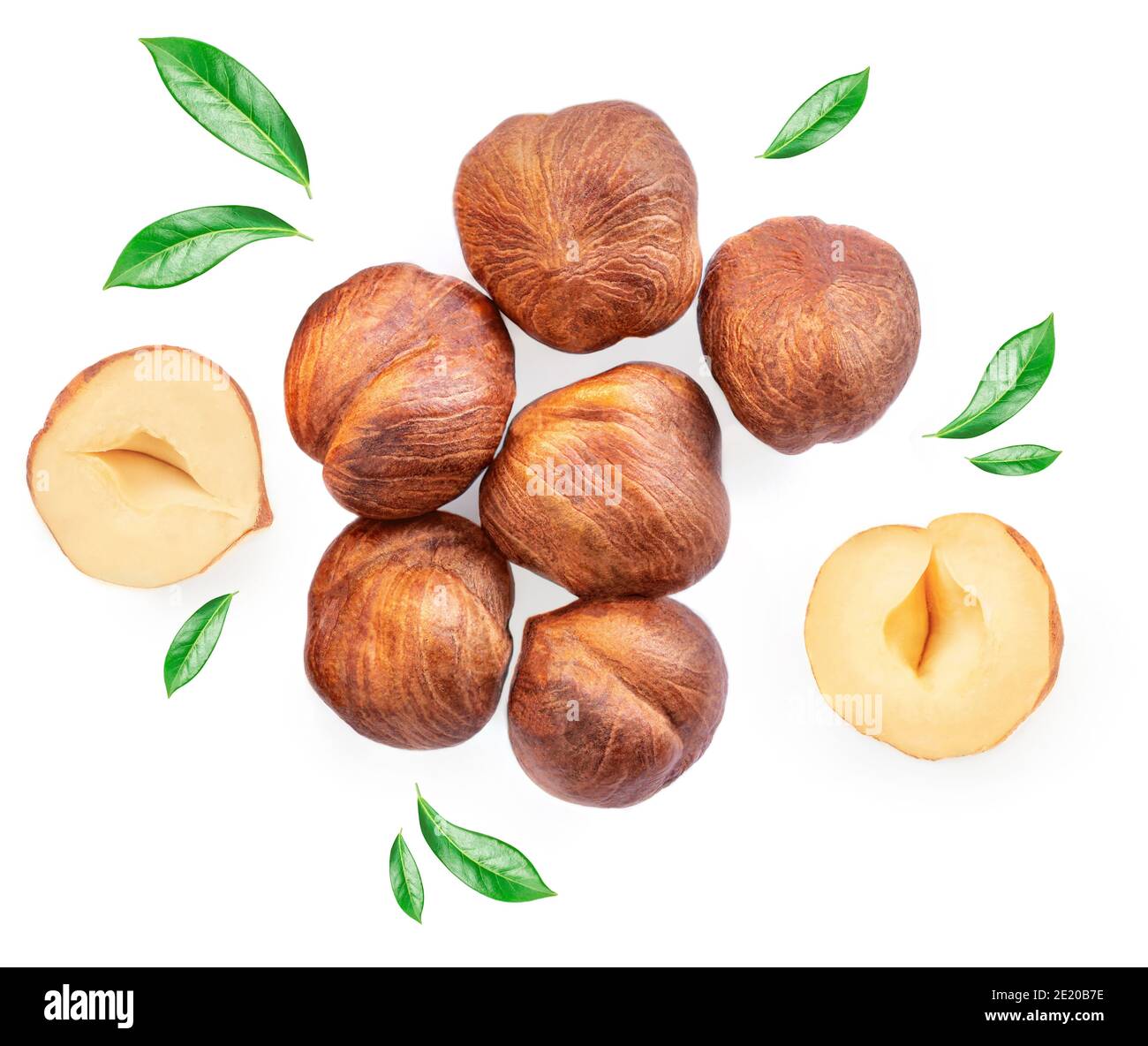 Full and halfs of hazelnuts isolated on white background. Hazelnut ...