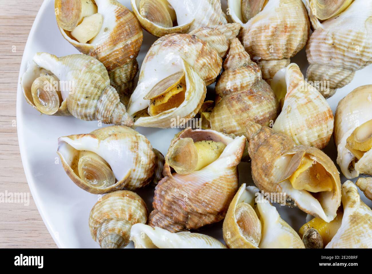 Fresh cooked whelks hi-res stock photography and images - Alamy