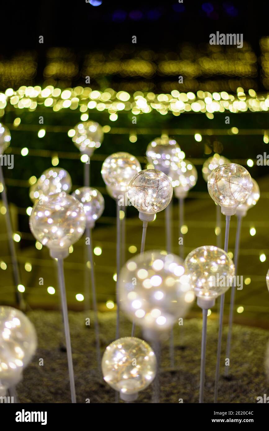 Lighting decorate on the tree in lighting festival showing countdown ...