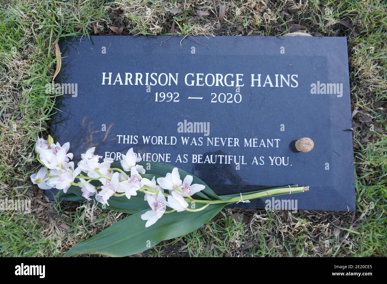 Los Angeles, California, USA 10th January 2021 A general view of atmosphere of actor Harrison ...