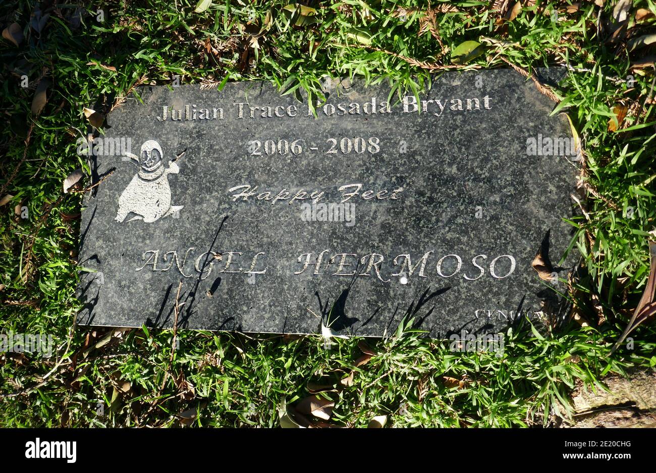 Los Angeles, California, USA 10th January 2021 A general view of ...