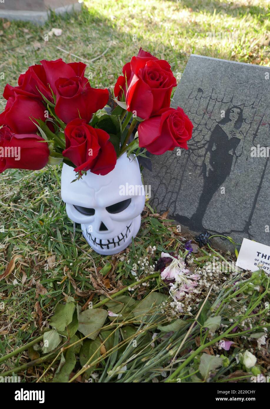 Los Angeles, California USA 10th January 2021 A general view of ...