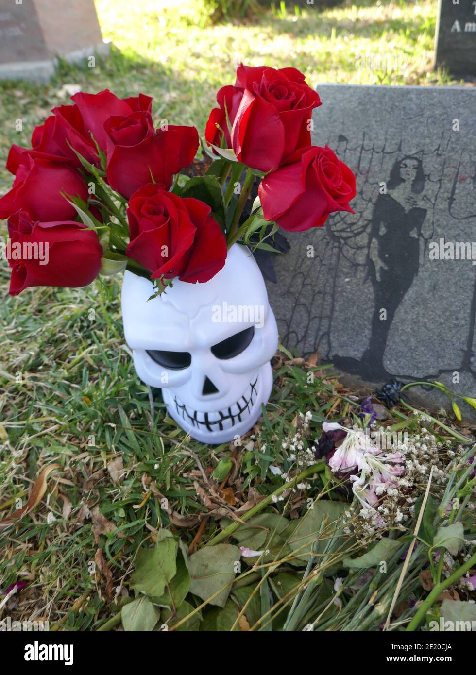 Los Angeles, California USA 10th January 2021 A general view of ...