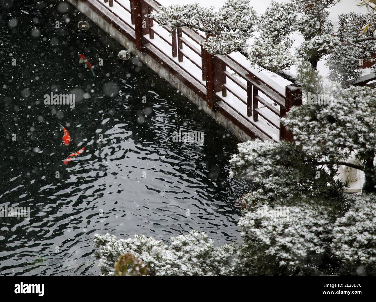 Guiyang. 11th Jan, 2021. Photo taken on Jan. 11, 2021 shows the snow ...