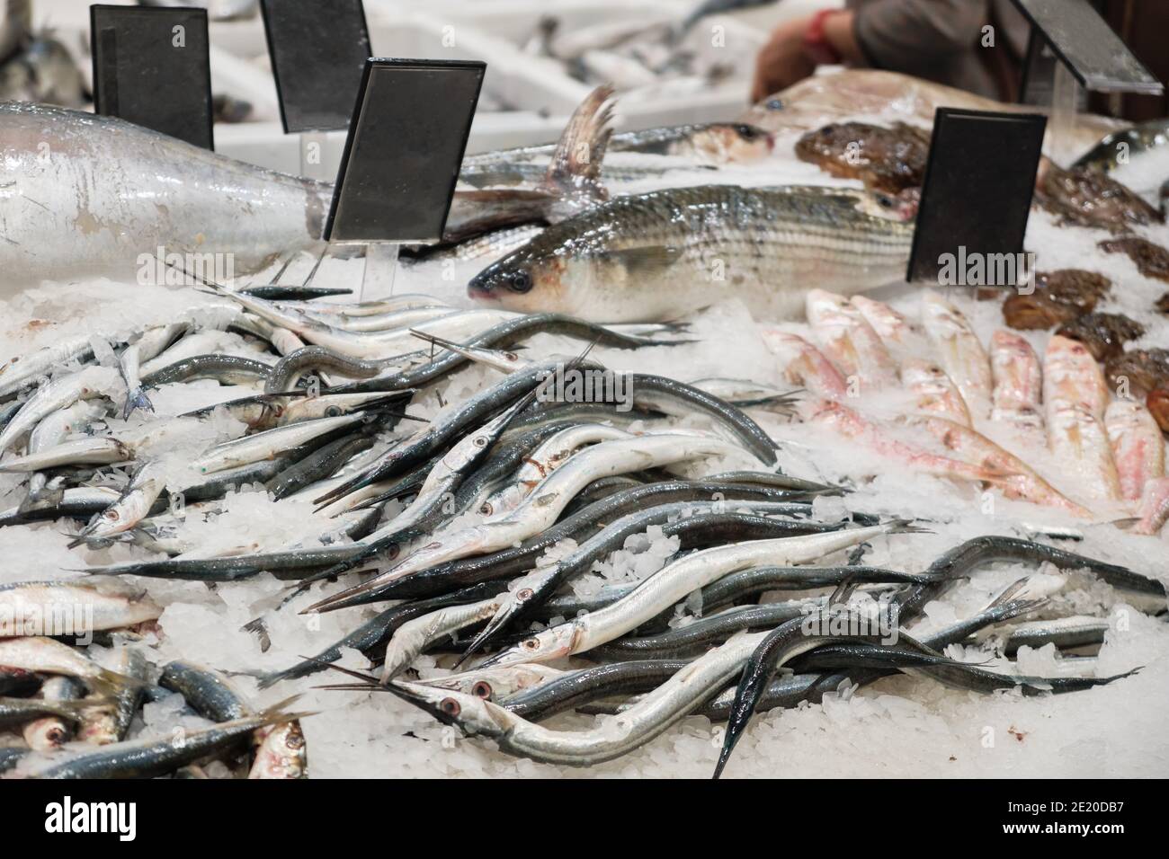 Chilled needlefishes and other sea fish on ice at hypermarket freezer ...