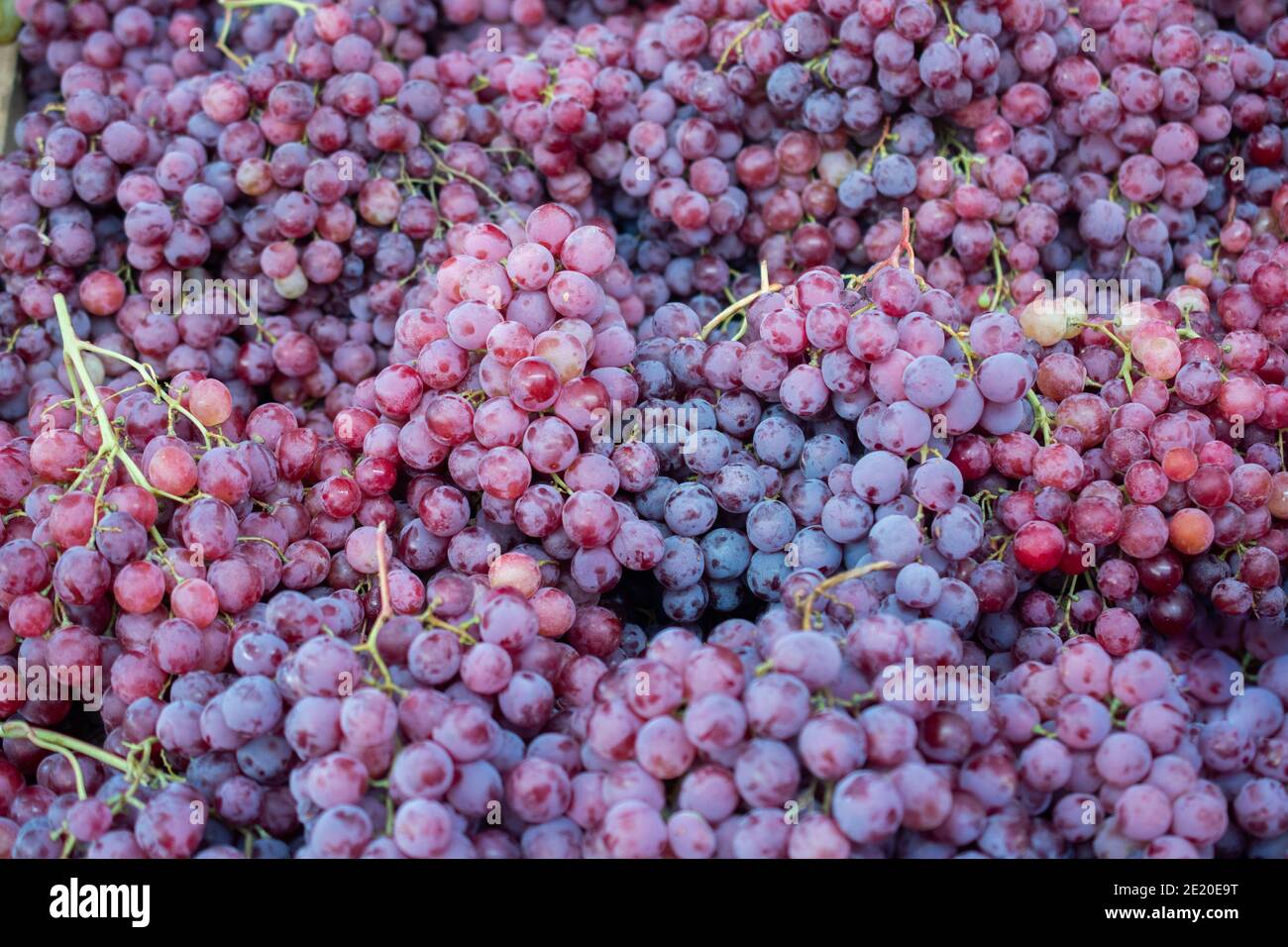 Fresh ripe red grapes in the market. Red grapes background Stock Photo ...