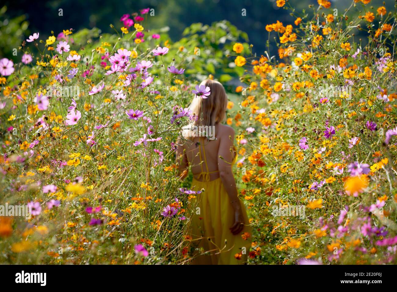 Beautiful model walking through a field of flowers in the countryside ...