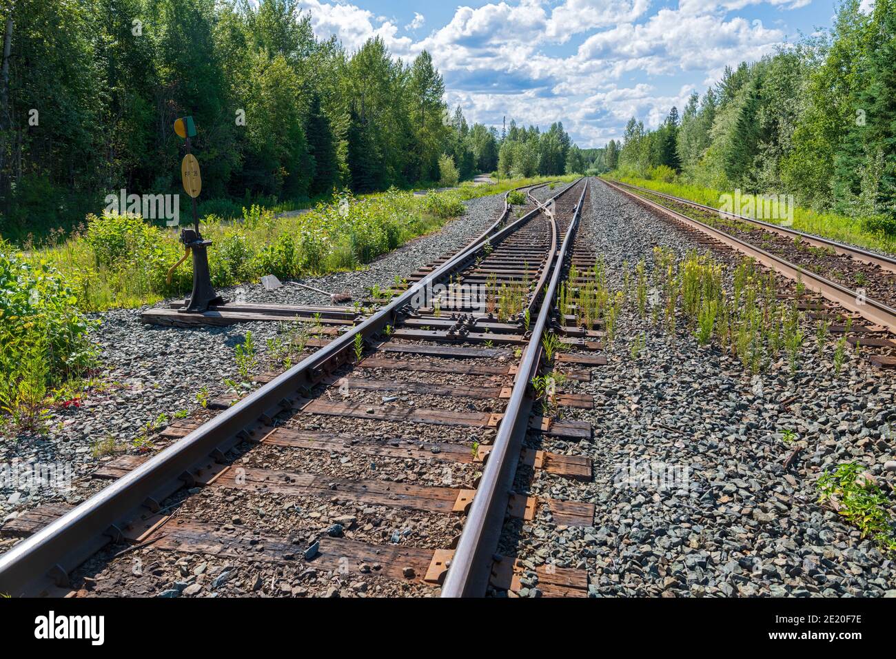 Switched railroad tracks are running through the forest in British ...