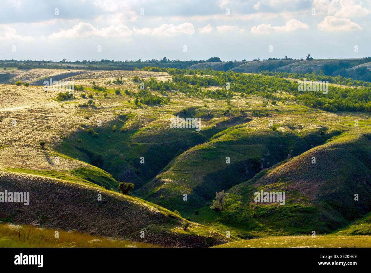 Hills Slope Hillside Panorama View Forest Mountain High Resolution ...