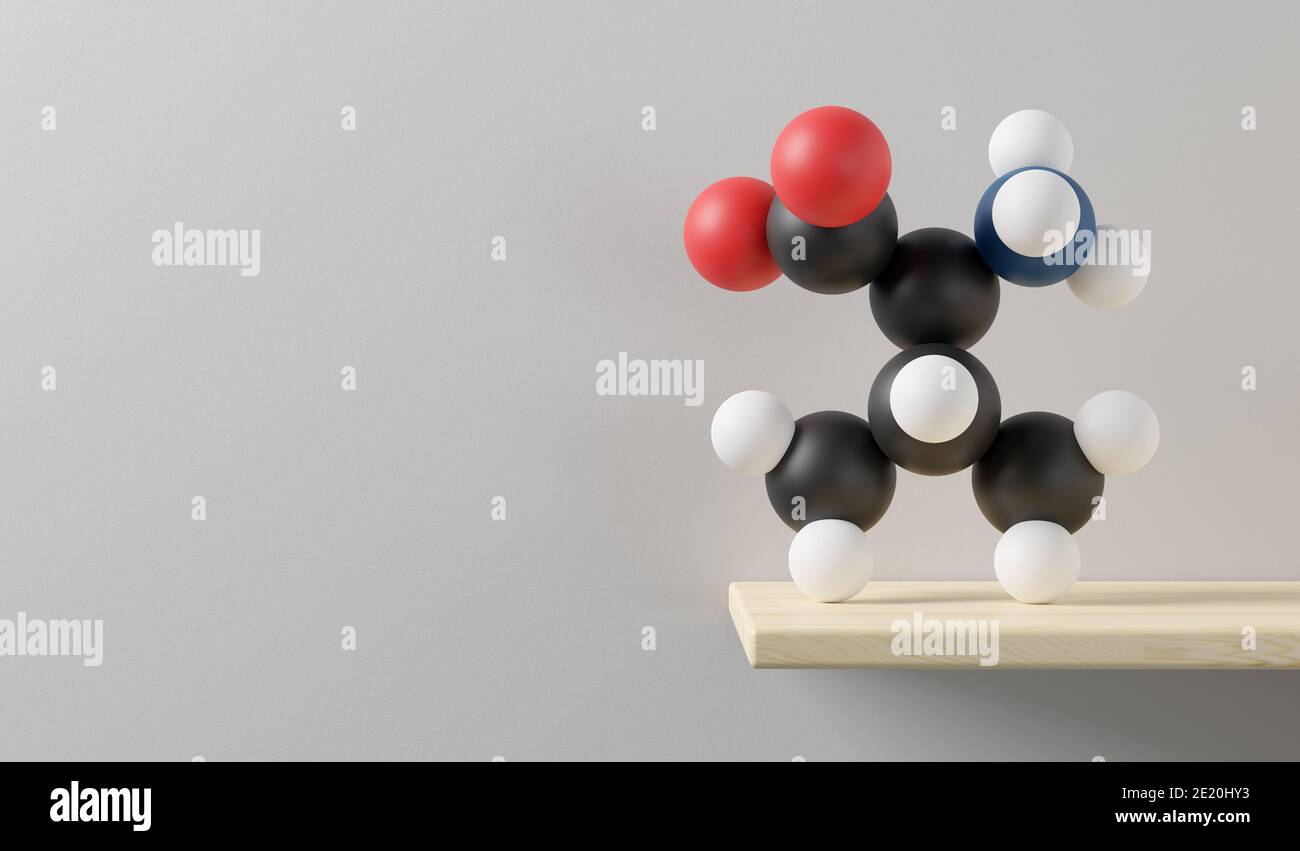 Valine amino acid molecule hi-res stock photography and images - Alamy