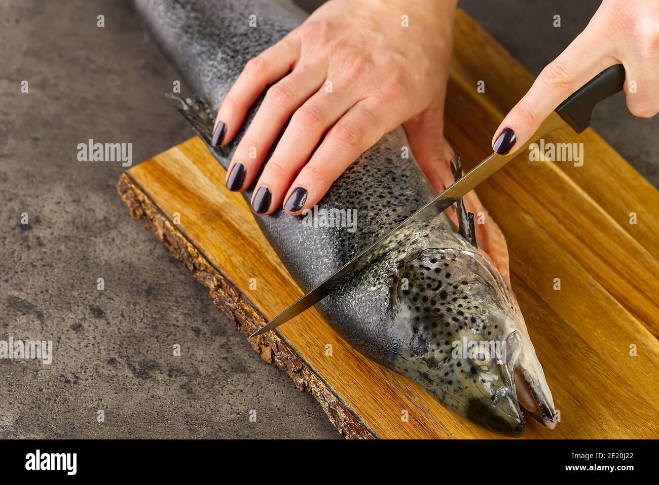 Cutting salmon fresh fish for dinner. diy cooking at home Stock Photo ...