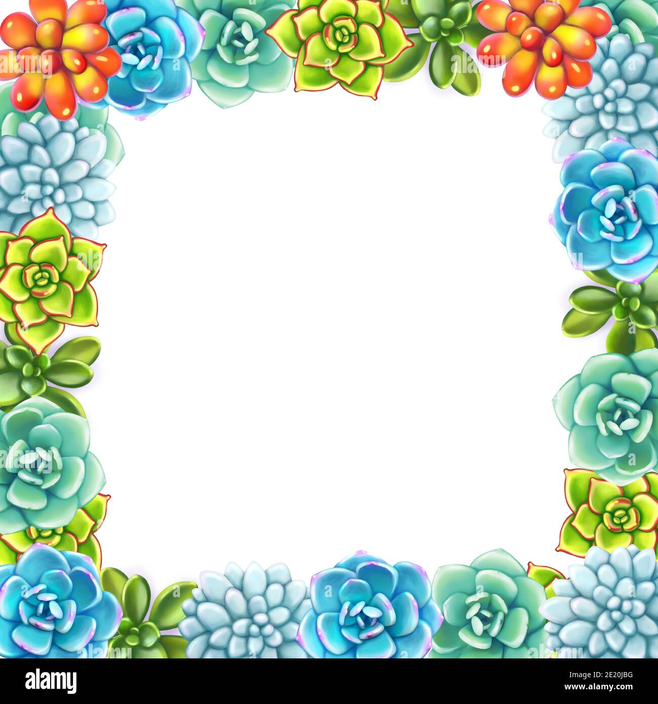 Floral Border. Succulents arranged un a shape of frame Stock Photo - Alamy