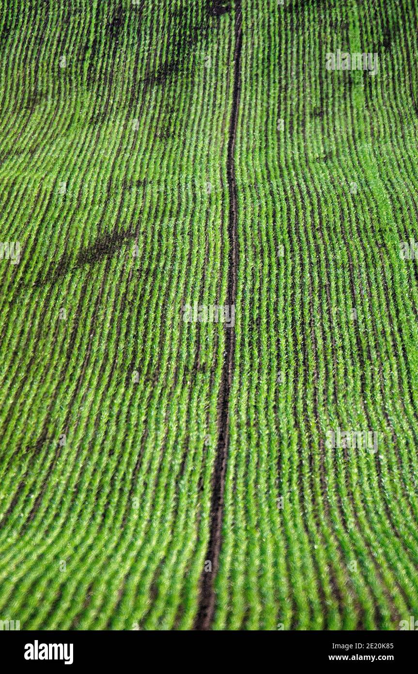 Parallel furrow pattern hi-res stock photography and images - Alamy