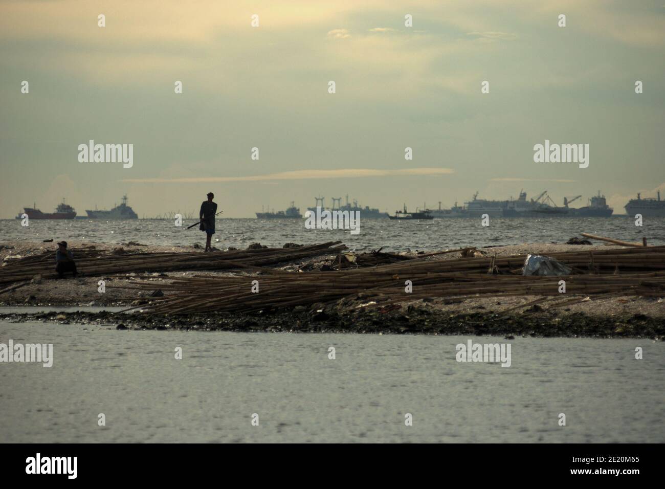 A man walking along a beach where bamboo poles are placed, to be used ...
