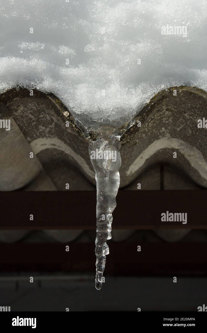 Vertical closeup of a stalactite on a snow-covered corrugated roof ...