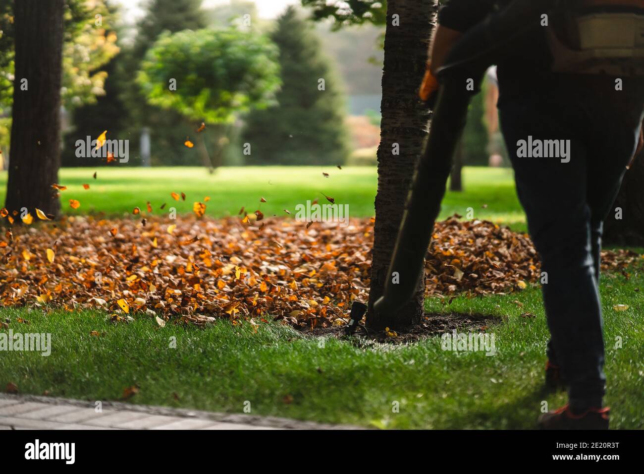 Woman blowing leaves leaf blower hi-res stock photography and images ...