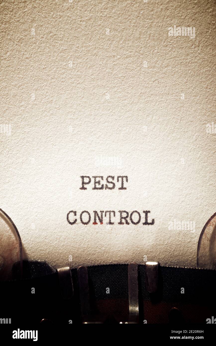 Pest control phrase written with a typewriter Stock Photo - Alamy