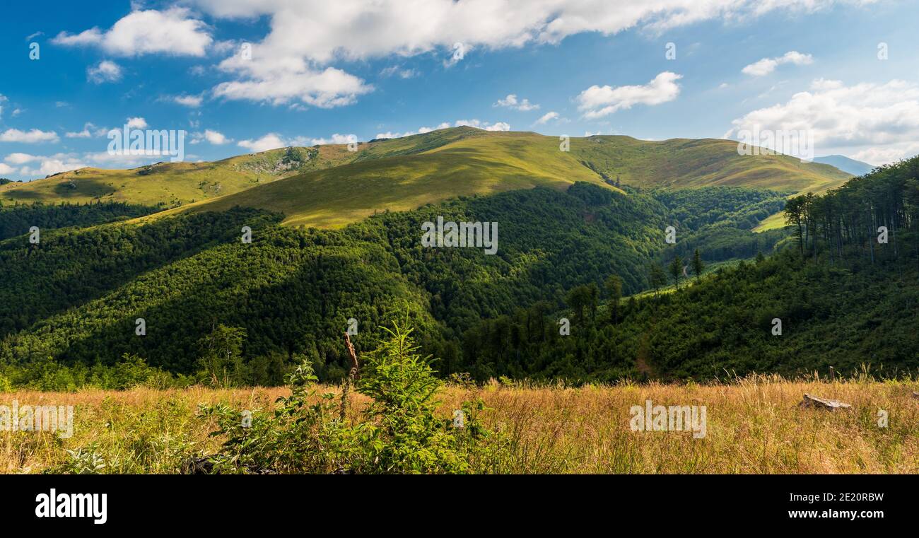 hill covered by forest, meadows and smaller rocks - Varful Coarnele ...