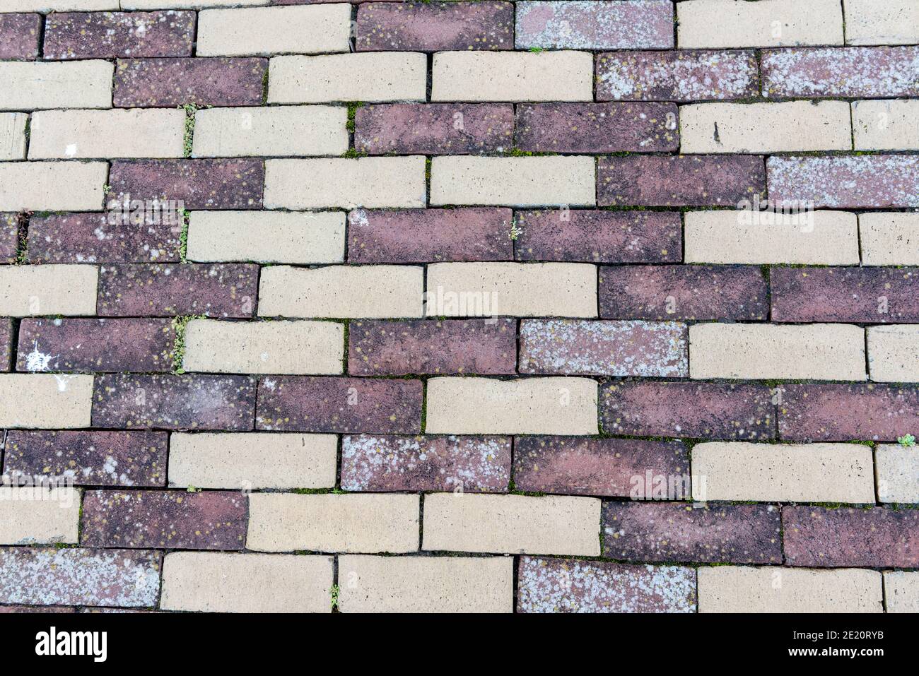 Cobblestone path in a garden Stock Photo - Alamy
