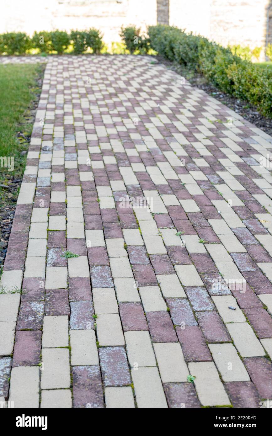 Cobblestone path in a garden Stock Photo - Alamy