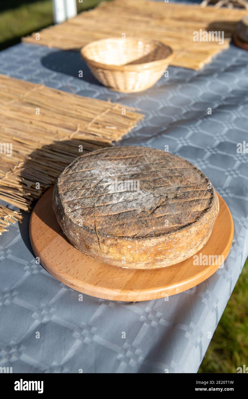 Farmer's Saint-Nectaire cheese on a table, France, Auvergne, Sancy ...