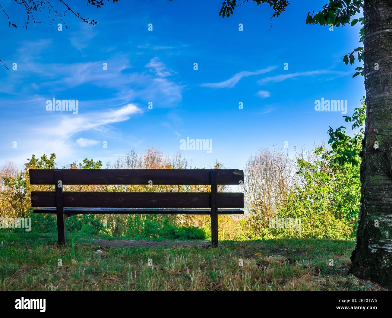 Lawn trees path benches hi-res stock photography and images - Alamy