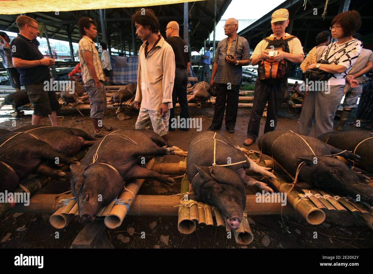Traditional meat market in Rantepao, North Toraja, South Sulawesi ...