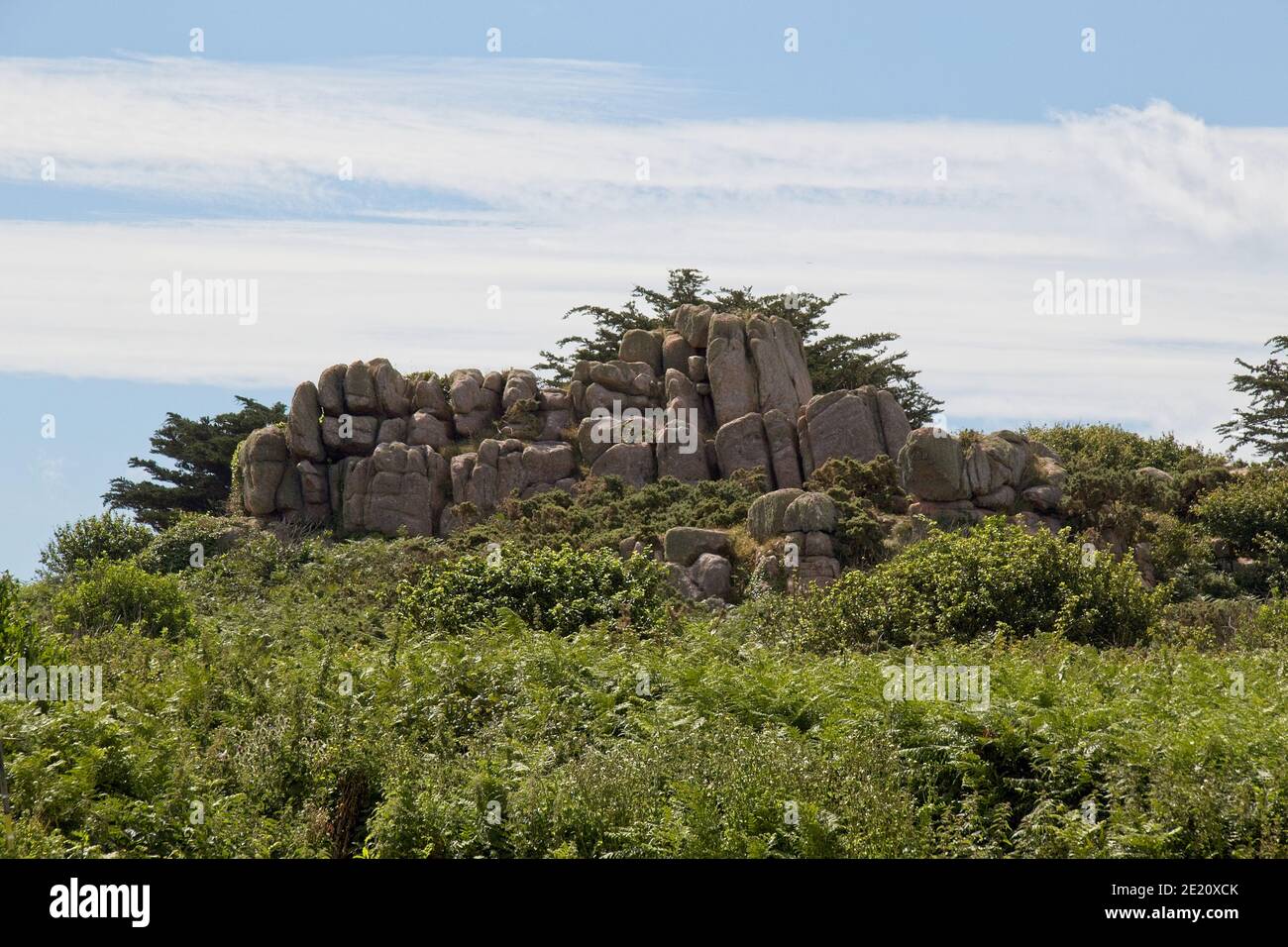 landscape with trees and rocks Stock Photo - Alamy