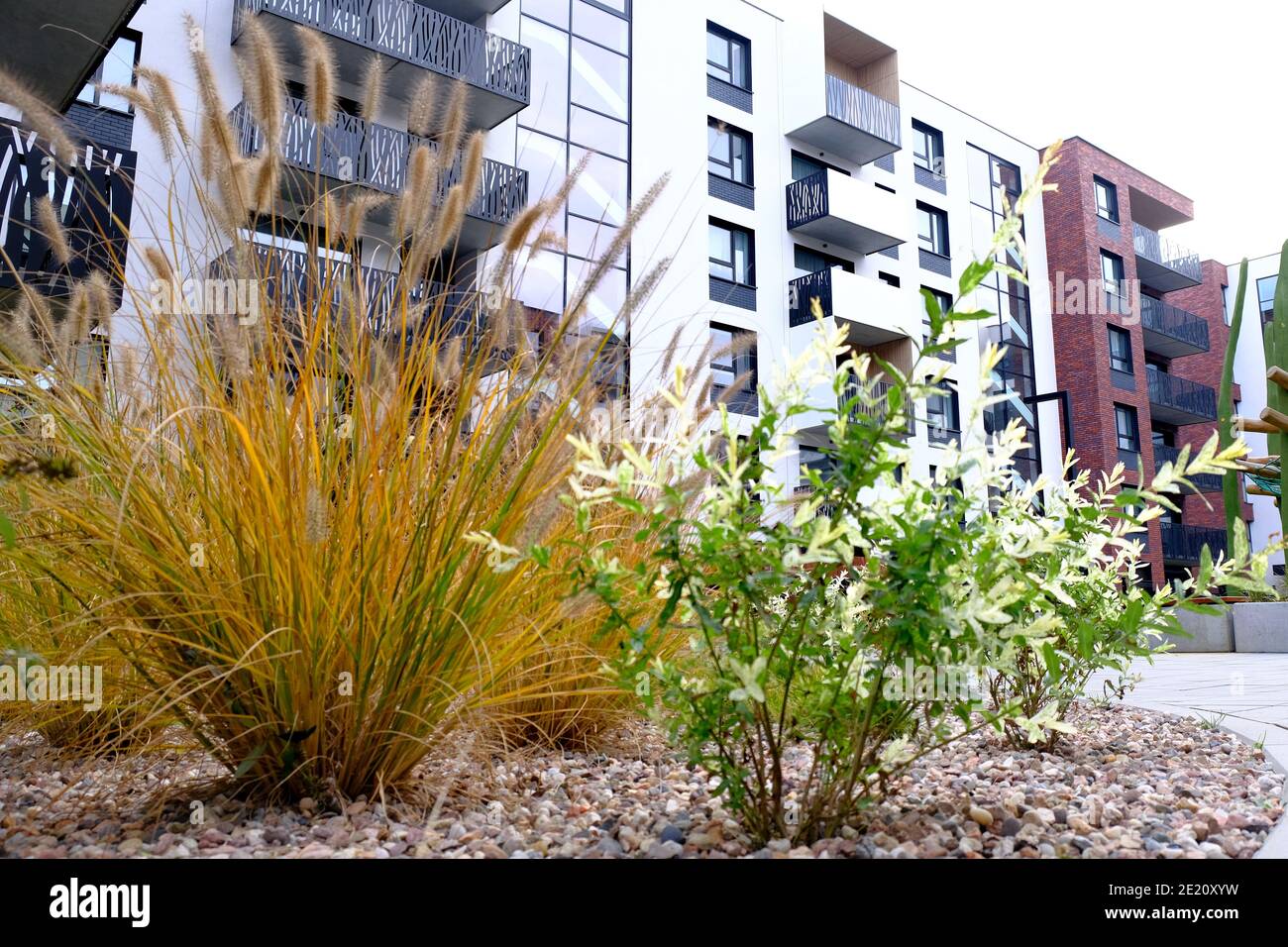 Green grass, modern apartment building, sidewalk, in a cozy courtyard ...
