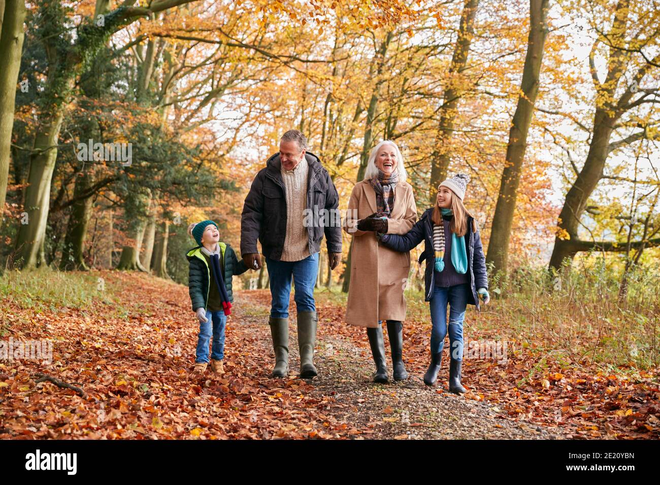 Grandparents With Grandchildren Enjoying Walk Along Autumn Woodland ...