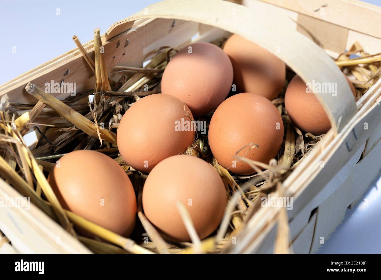 eggs in the nest Stock Photo - Alamy