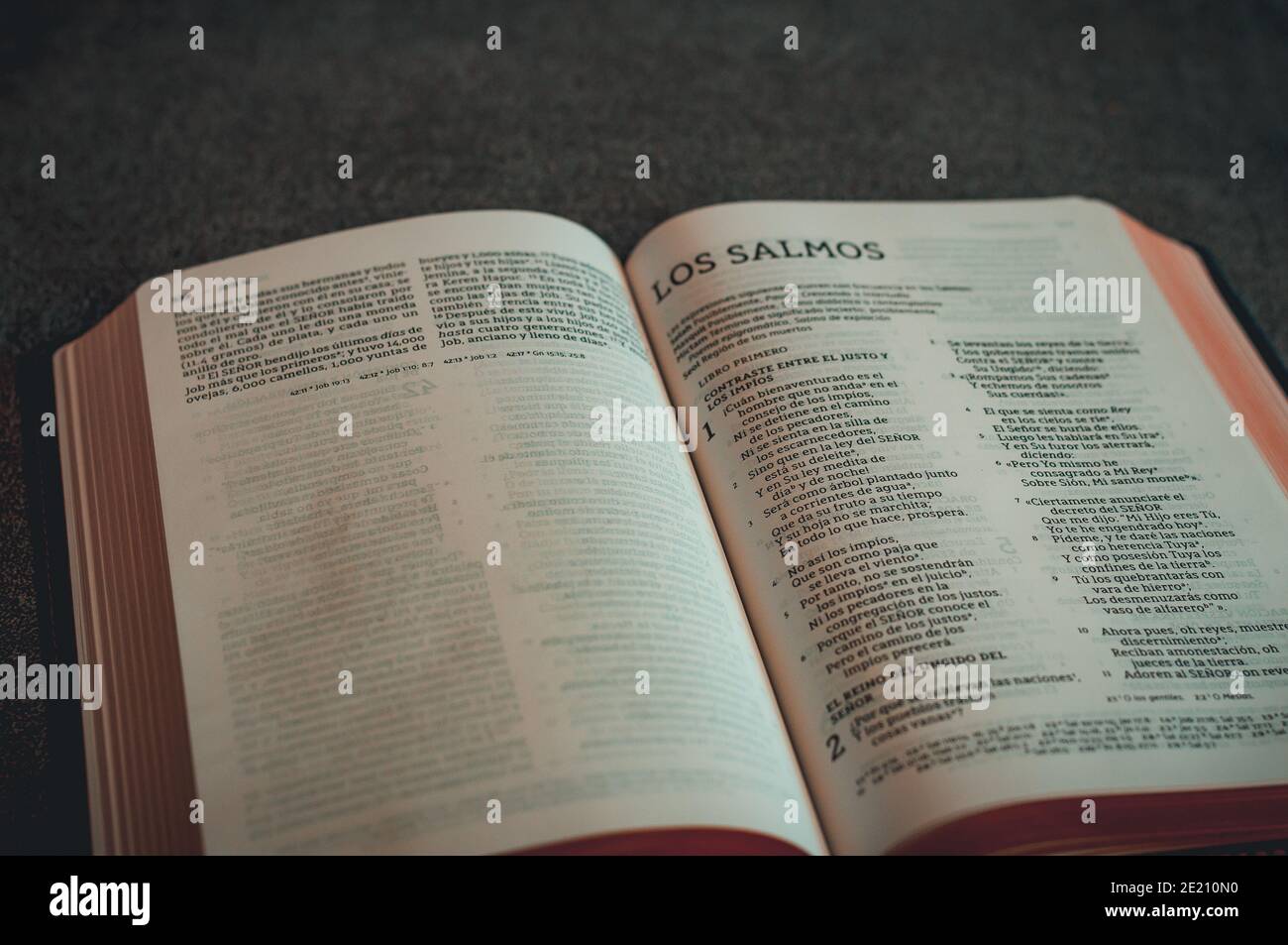 Passage in the bible hi-res stock photography and images - Alamy