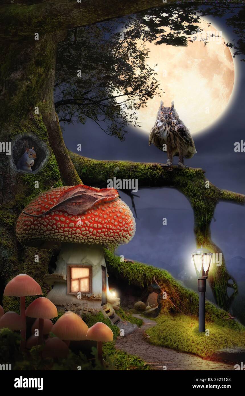 fabulous mushroom house in the roots of an old tree Stock Photo - Alamy
